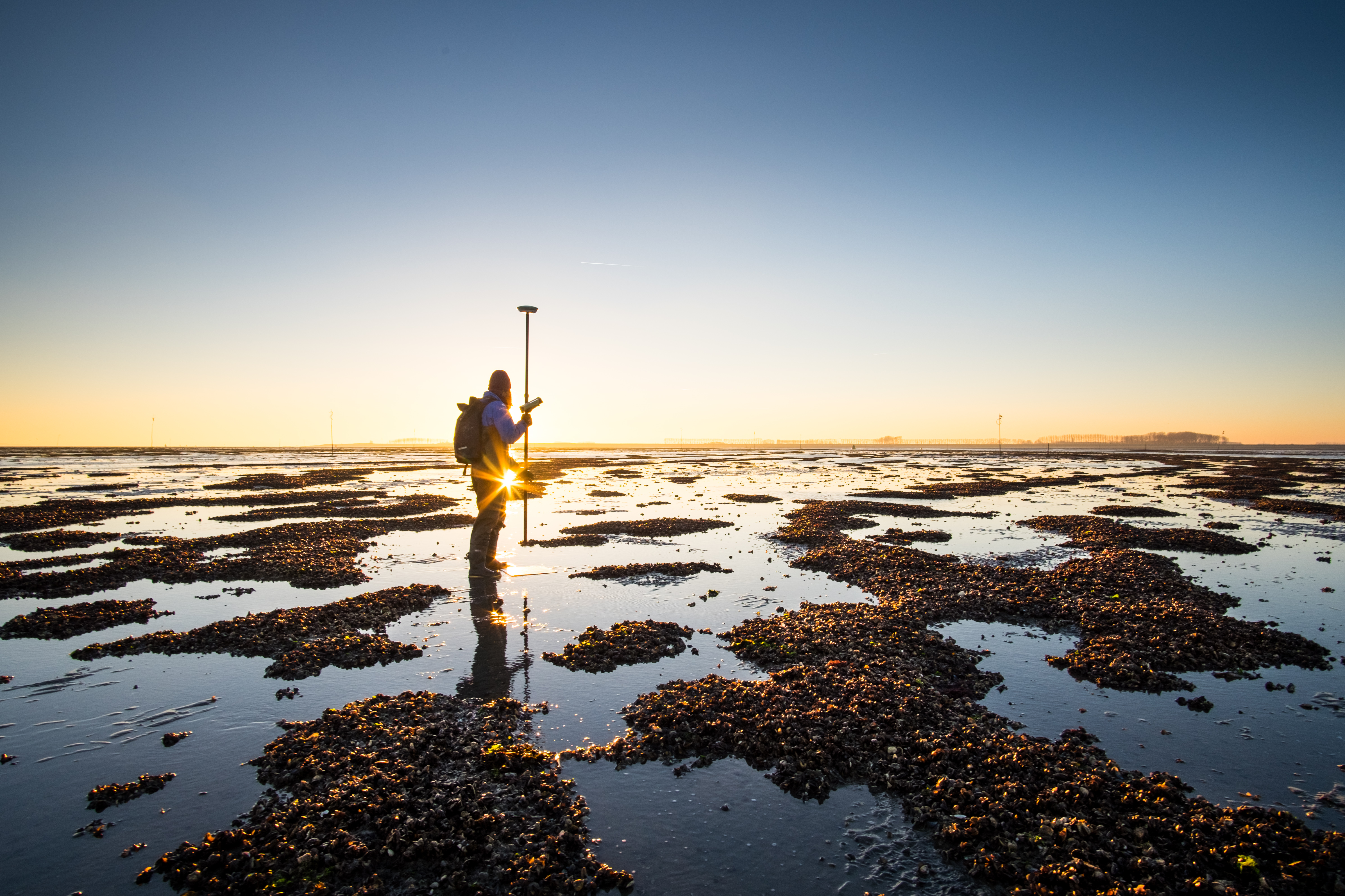 Estuarine & Delta Systems | NIOZ - Royal Netherlands Institute for Sea ...
