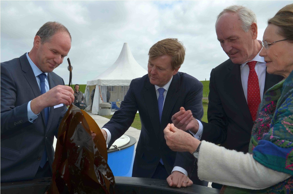Farewell Klaas Timmermans | Algae, mosquito larvae or seaweed: what do ...
