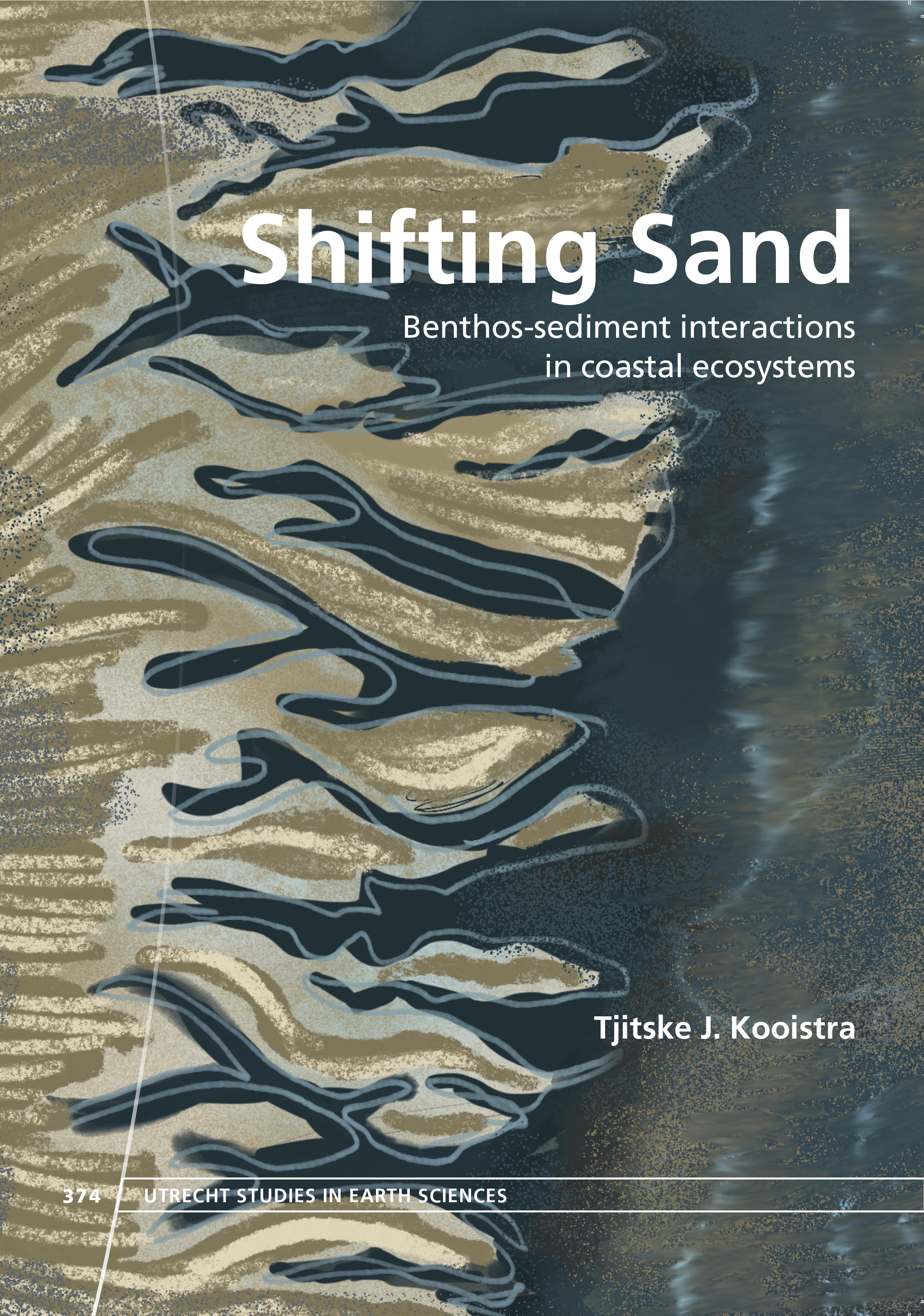 'Shifting Sand': benthos-sediment interacties in kustecosystemen | NIOZ ...