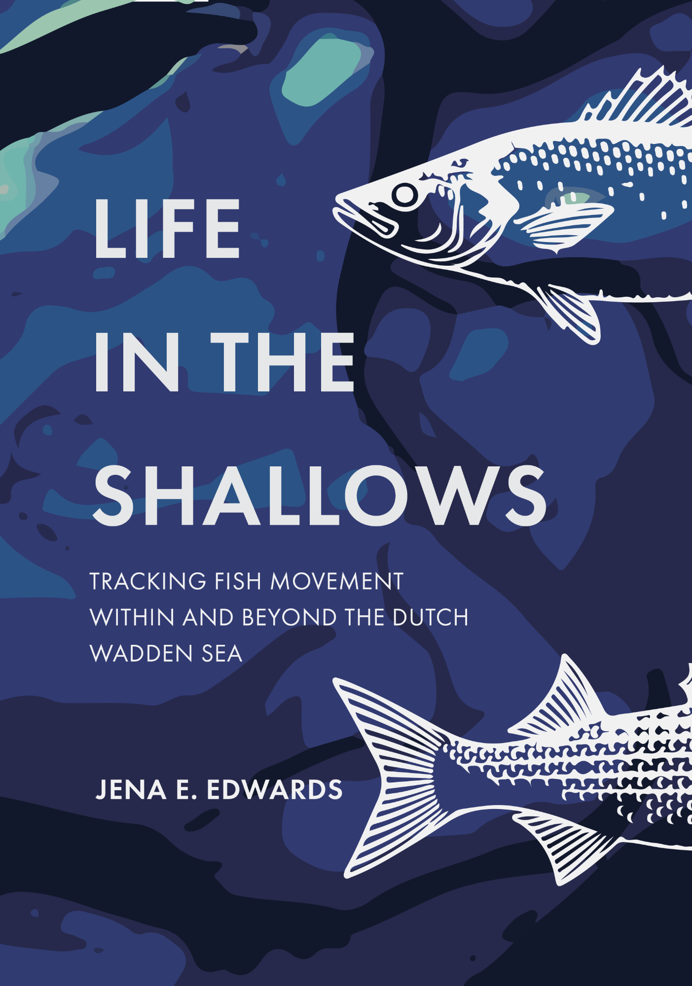 Life in the shallows: tracking fish movement within and beyond the ...